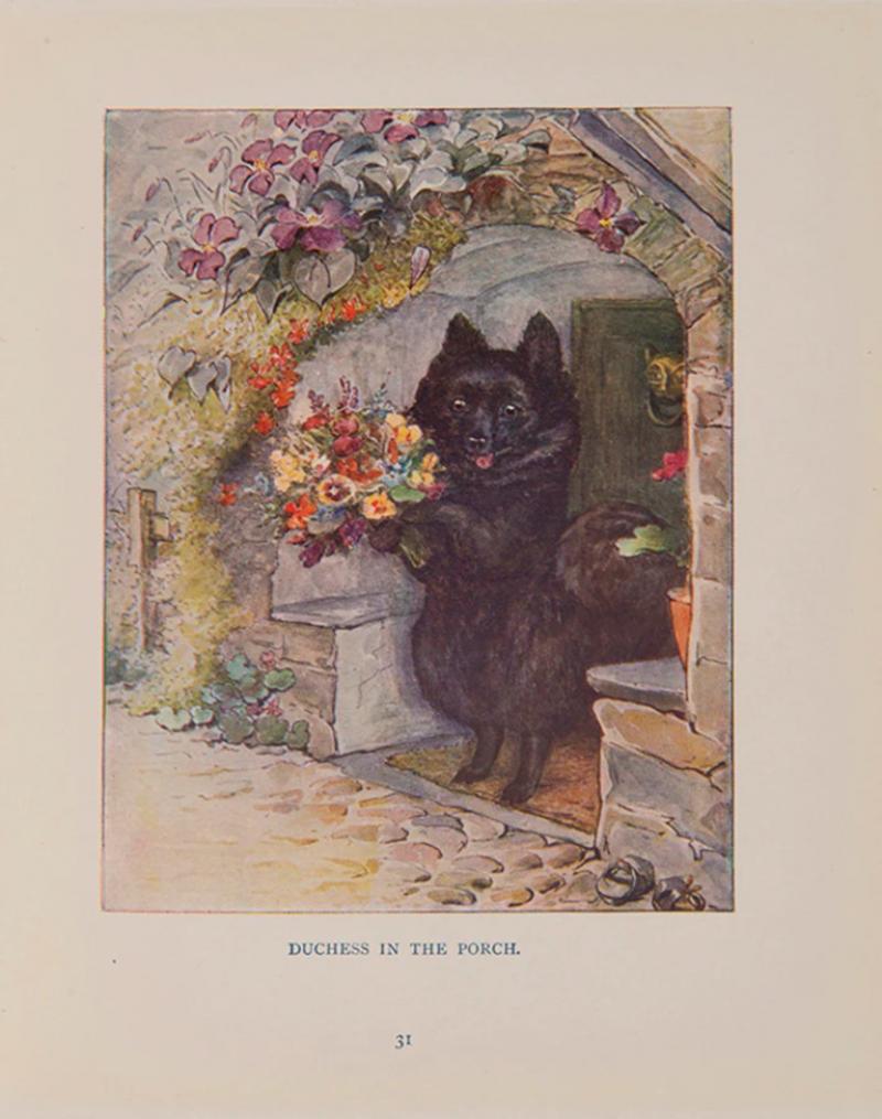 BEATRIX POTTER - The Pie and the Patty-Pan. by Beatrix POTTER