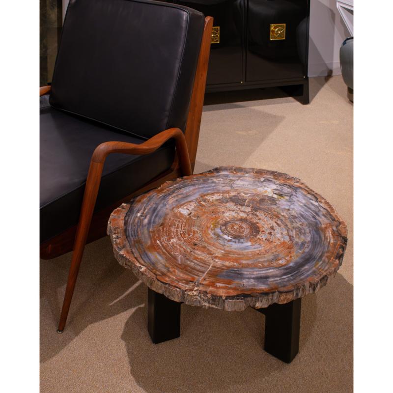 Ado Chale - Ado Chale Rare and Iconic Fossilized Wood Top Table 1960s