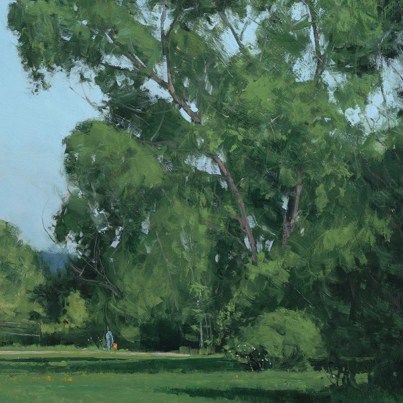 Ben Bauer - Backyard in Hugo