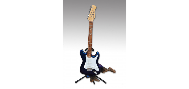 Bernie Houston - Wood Notes, 2022