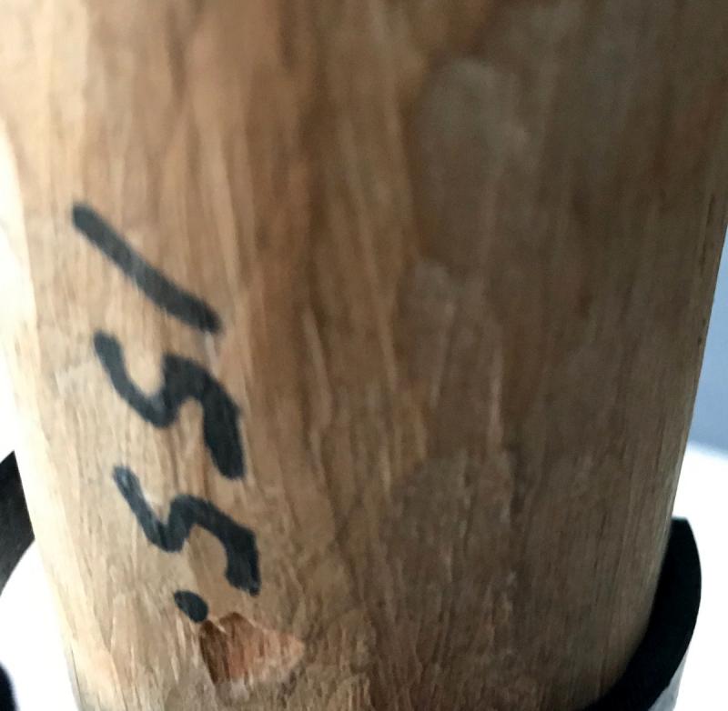 Bis Pole of Asmat People