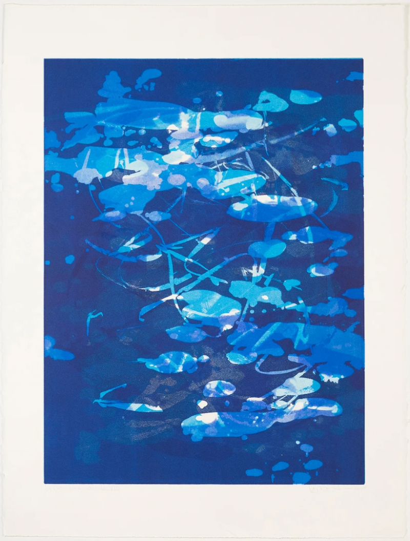 Elizabeth Dexheimer - Nocturne VIII