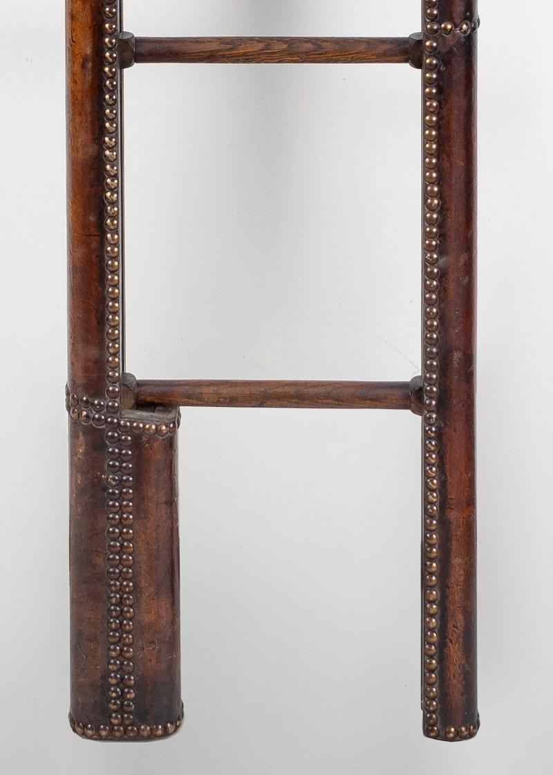 Folding Library Pole Ladder