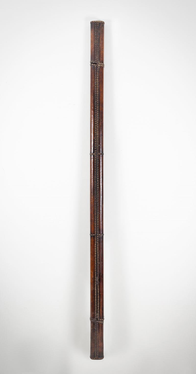 Folding Library Pole Ladder