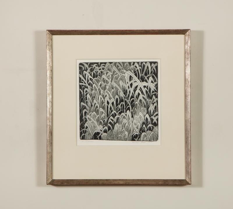 Grasses, William Pell