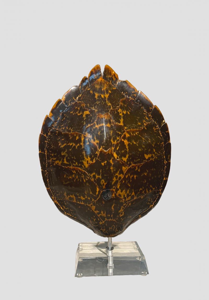 Karl Springer - Tortoise Shell Lamp, Italy 1970s in Style of Karl Springer