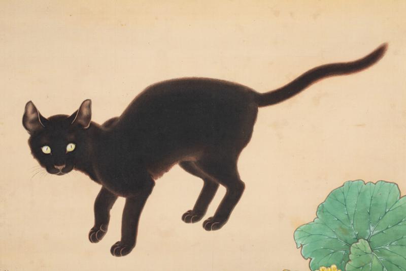 Katsuta Shokin - Japanese Scroll: Black Cat by Katsuta Shokin