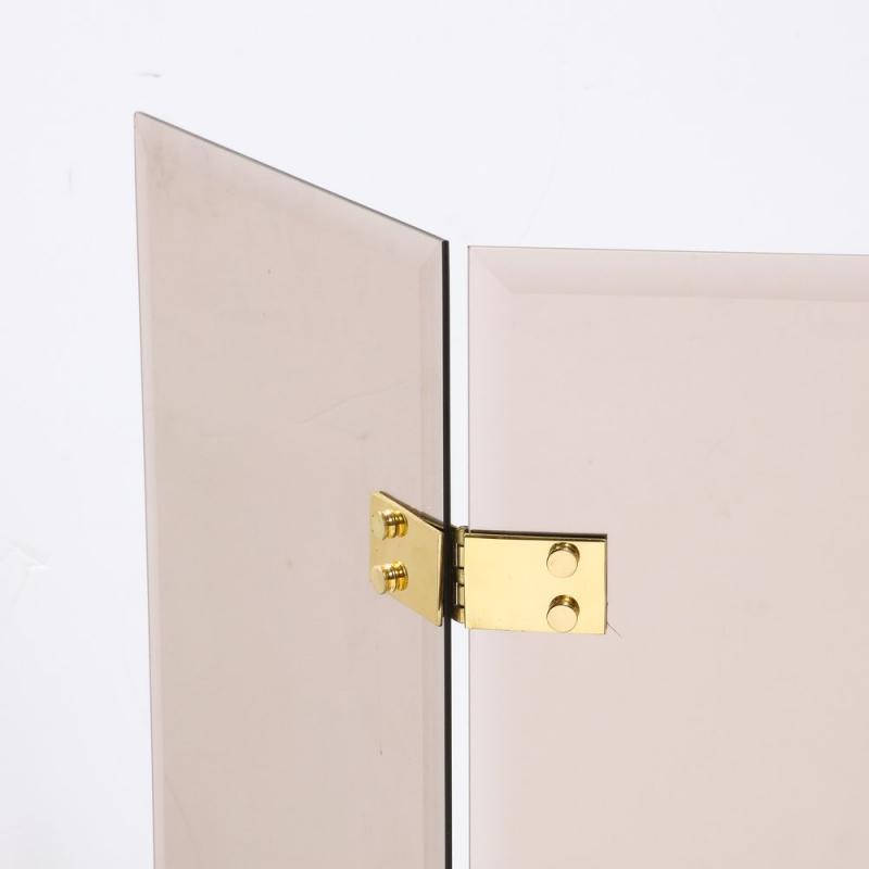 Mid-Century TriFold Smoked Glass Fire Screen w/ Brass Hinges by Danny ...