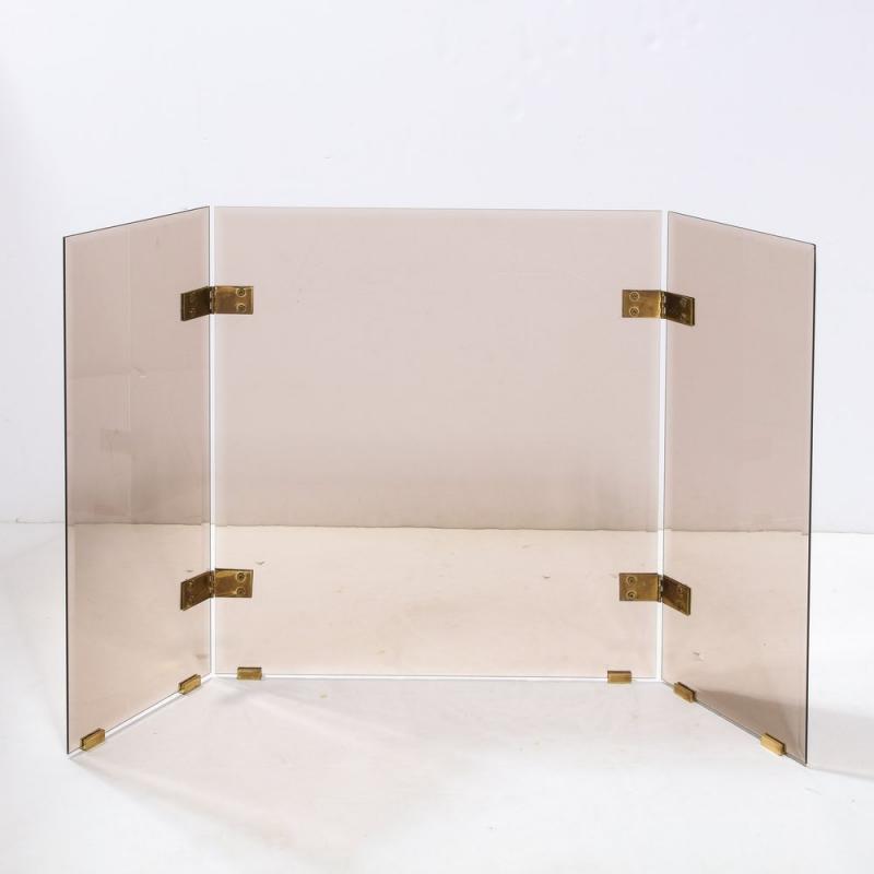 Mid-Century TriFold Smoked Glass Fire Screen w/ Brass Hinges by Danny ...