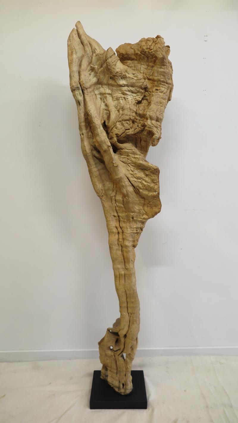 Natural Teak Wood Root Sculpture