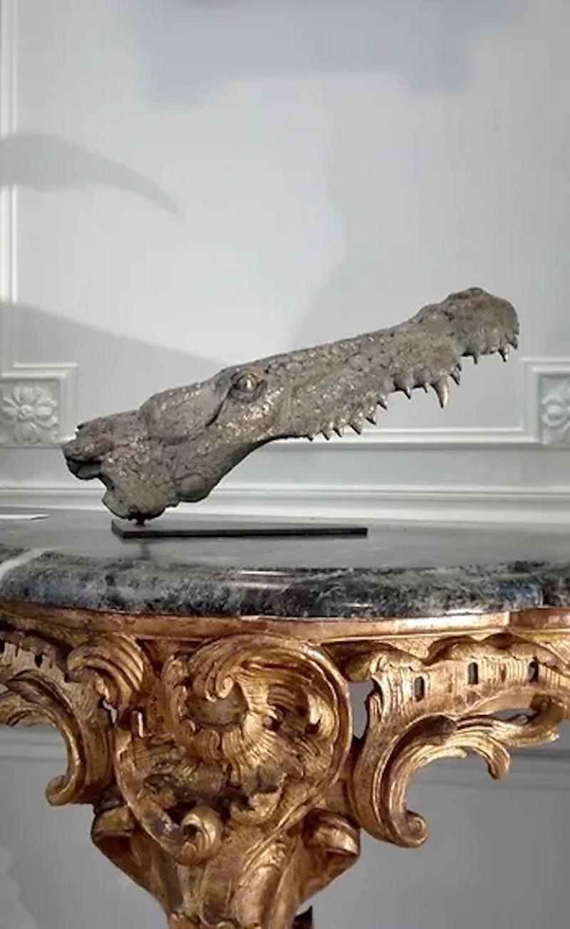 PIERRE-JEAN CHABERT - CROCODYLUS NILOTICUS