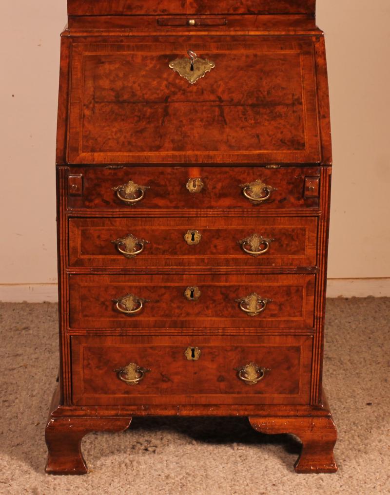 Small Secretary In Burl Walnut With Dome -18 ° Century