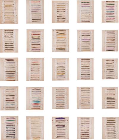 Framed 19th Century French Fiber Samples