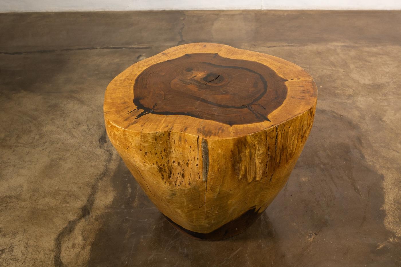 Costantini Design - Hand Carved Live Edge Solid Wood Trunk Table ƒ37 by ...