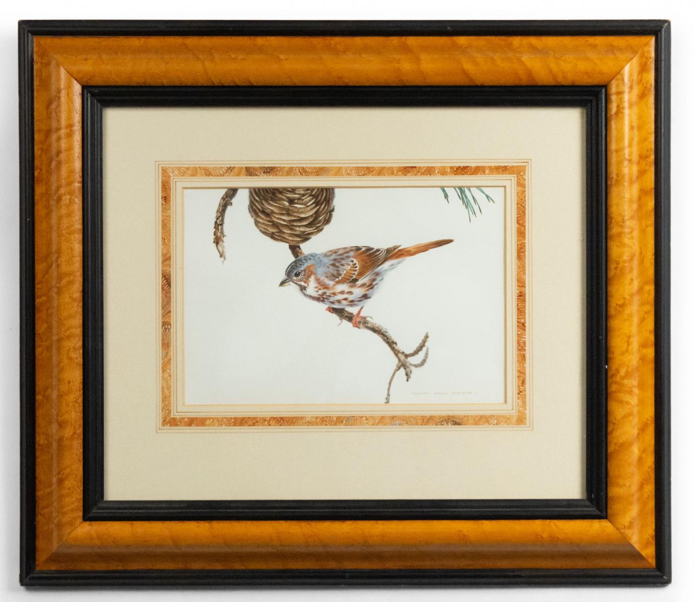 David Kerr - English Victorian Bird Watercolor 40