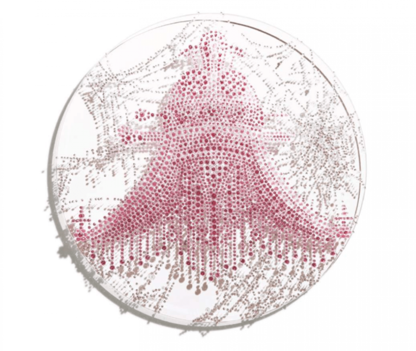 Ran Hwang - The Secret Sublime_GB, 2022