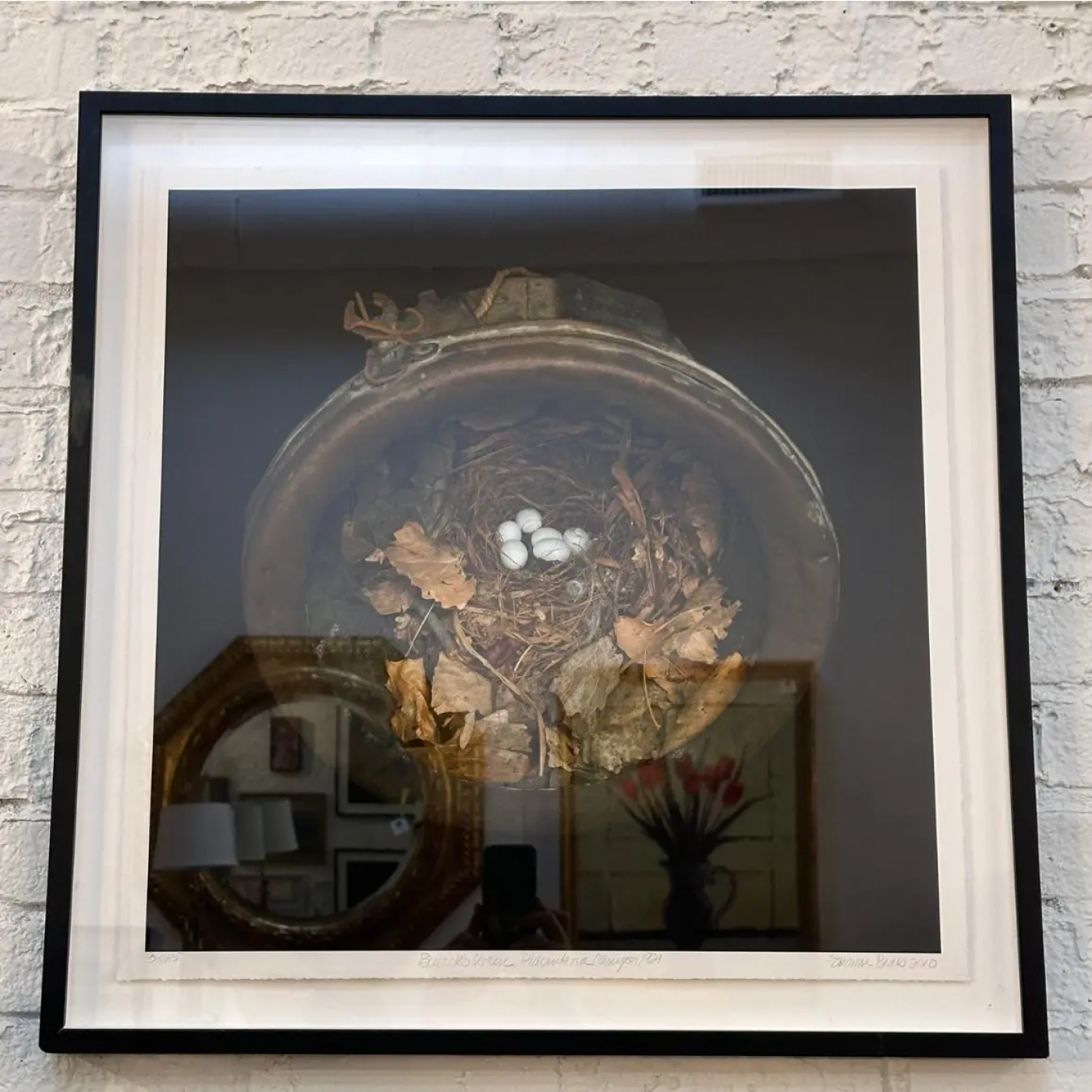 Sharon Beals - Sharon Beals Lithograph of a Bewicks Wren Nest