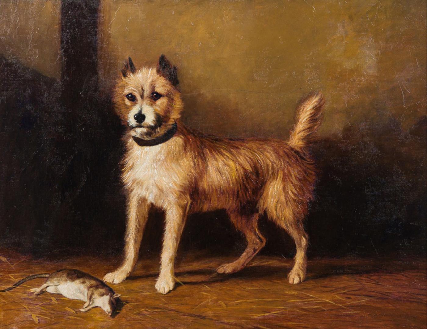 The Proud Victor Dog Portrait 1