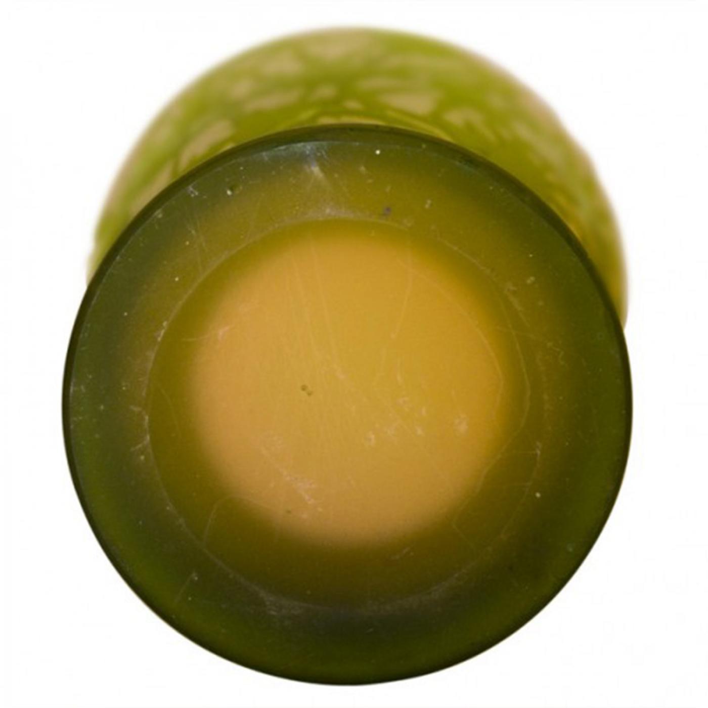 Émile Gallé - Galle French Cameo Art Glass Vase, 1900's