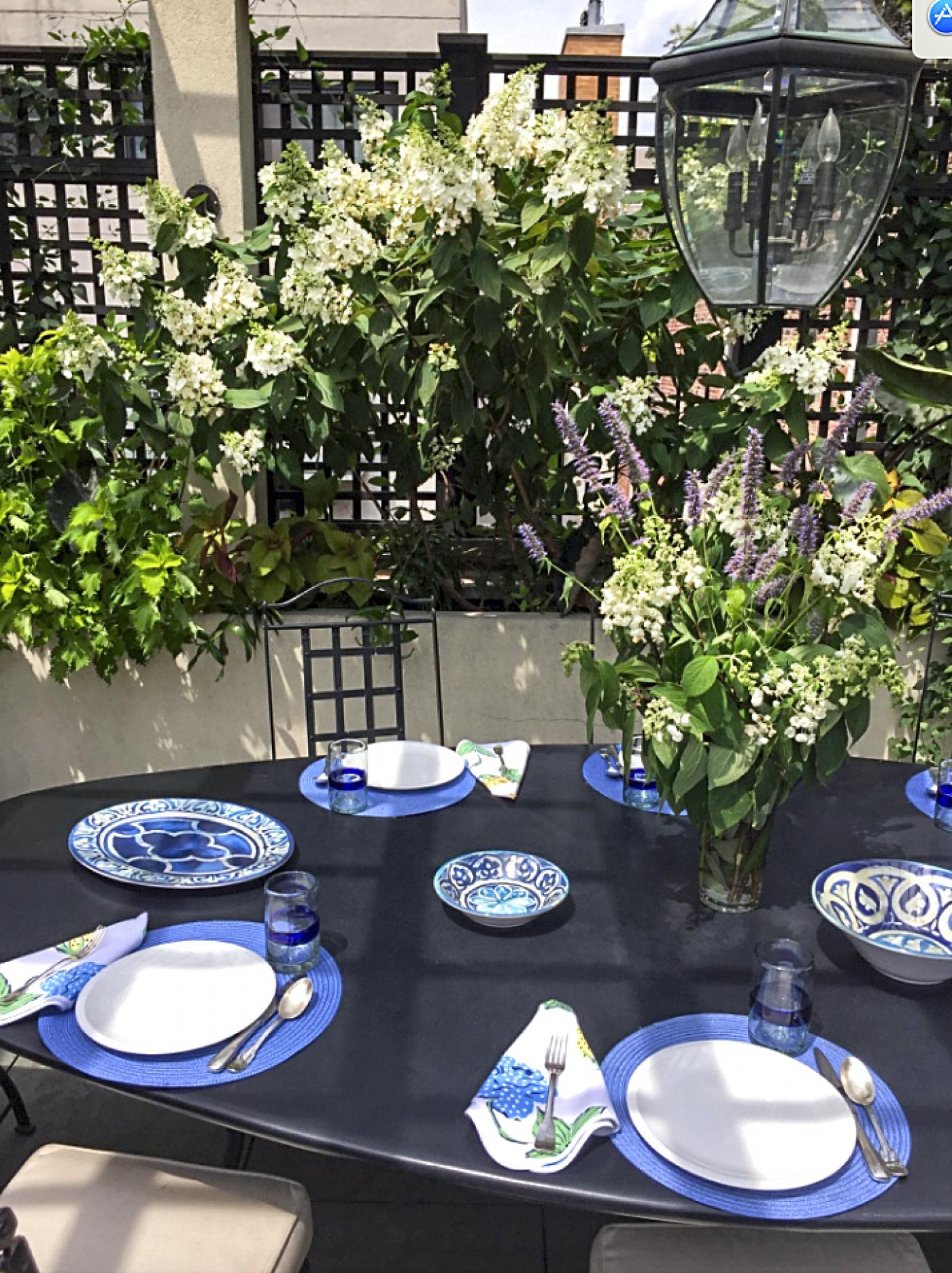 Tribeca by Marcy V. Masterson Interior Design