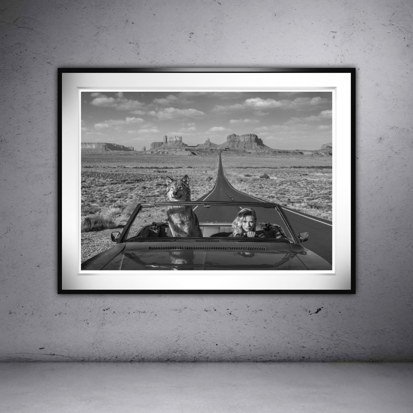 David Yarrow - Road Trip 2