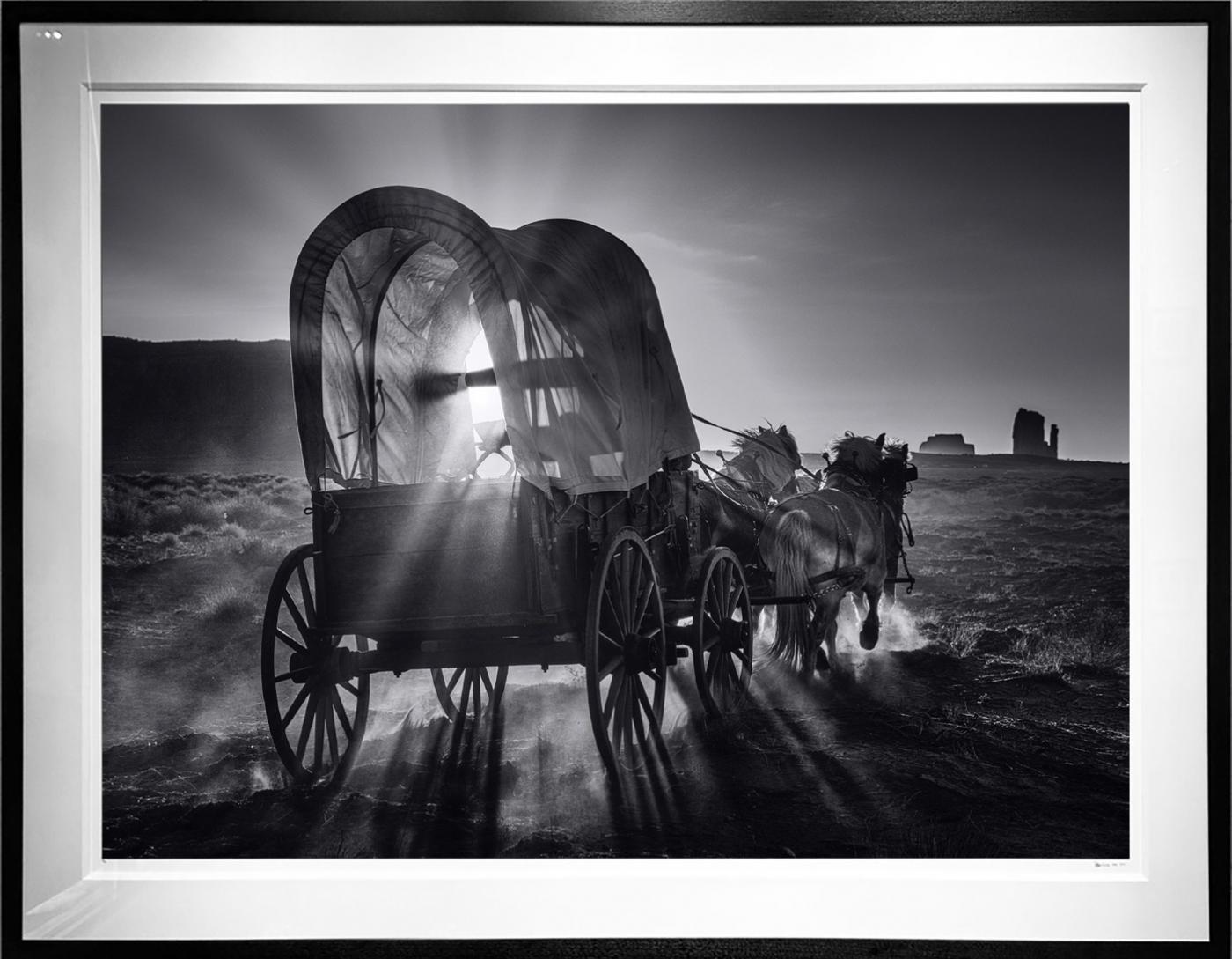 David Yarrow - Wagon Wheel