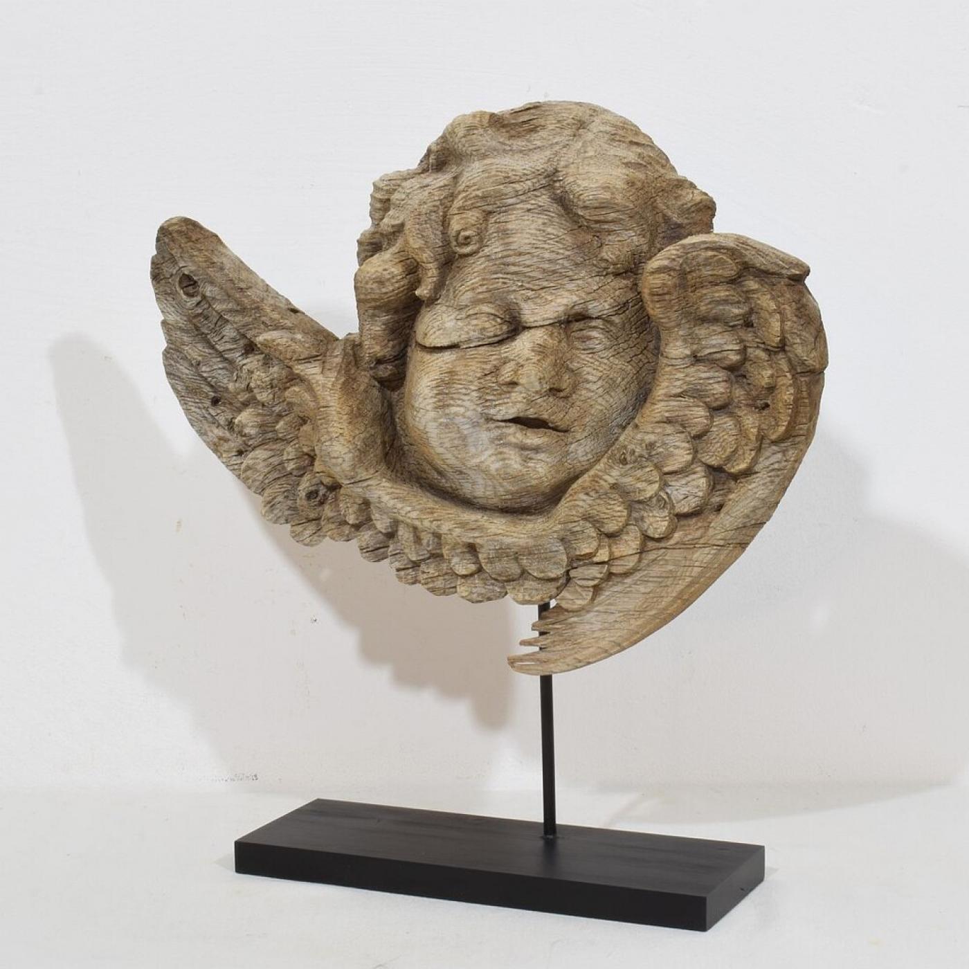 17/18th Century French Baroque Carved Oak Angel Head on Wings