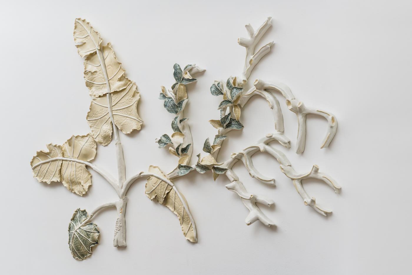 Alice Riehl - Mangrove, FR