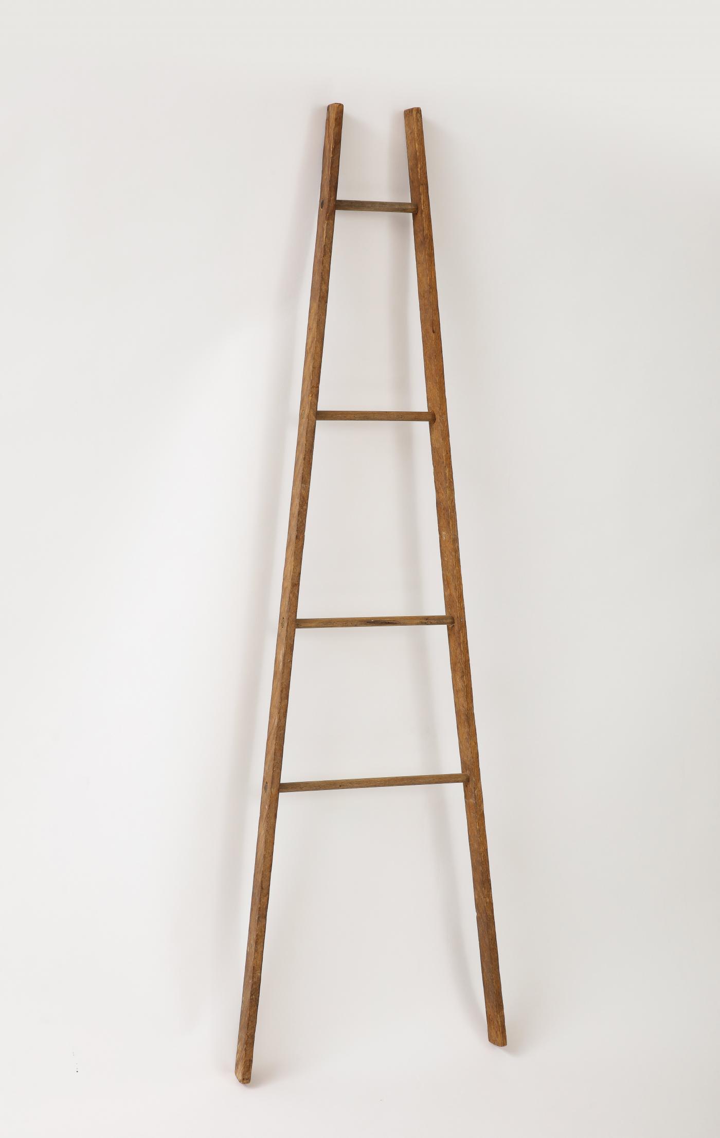 American 19th C. Ladder Model Wood
