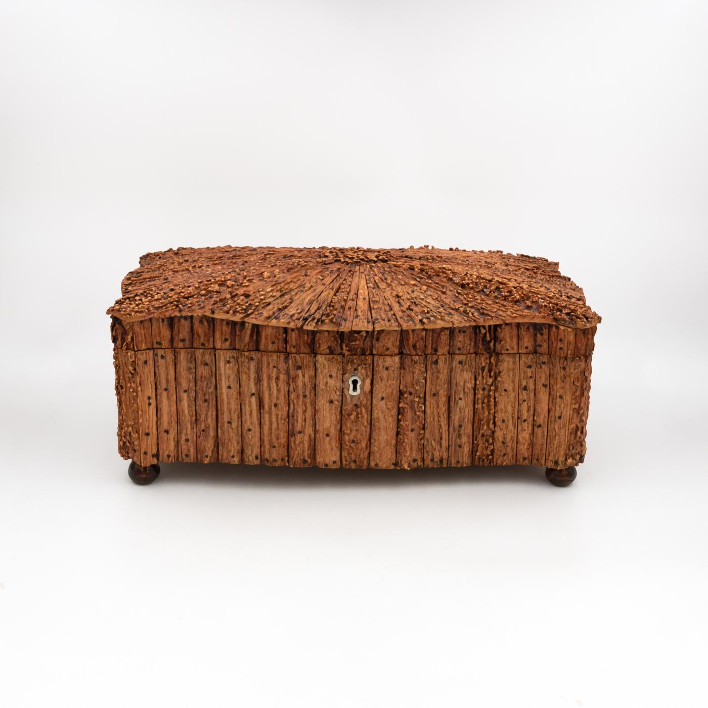 Anglo Indian Serpentine Box Stag Horn Box, Circa 1850