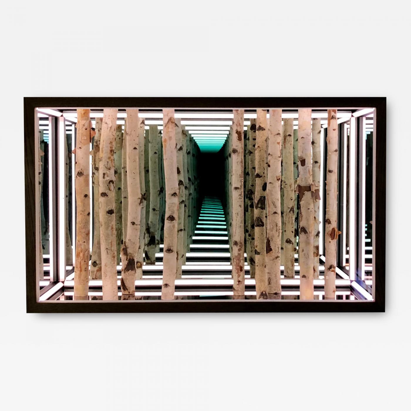 Anthony James - BIRCH WALL