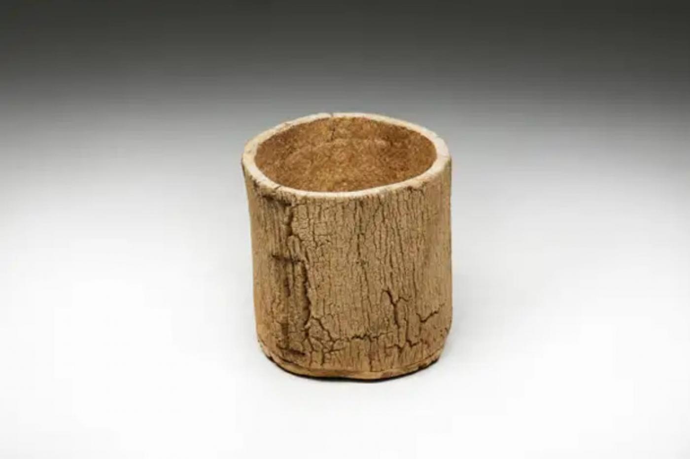 Artisanal Tree Trunk Planter, France, 19th Century