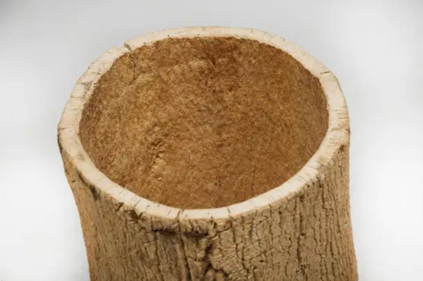 Artisanal Tree Trunk Planter, France, 19th Century
