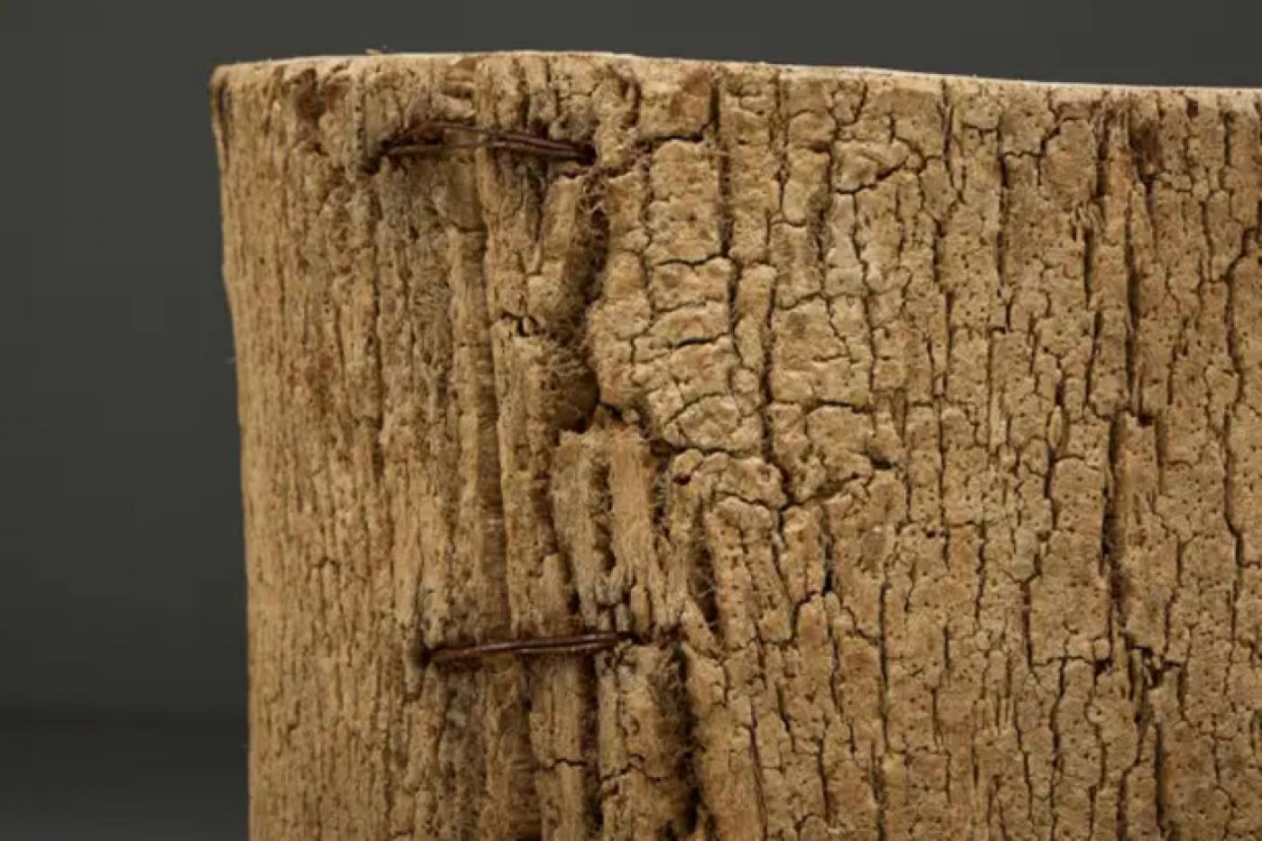 Artisanal Tree Trunk Planter, France, 19th Century