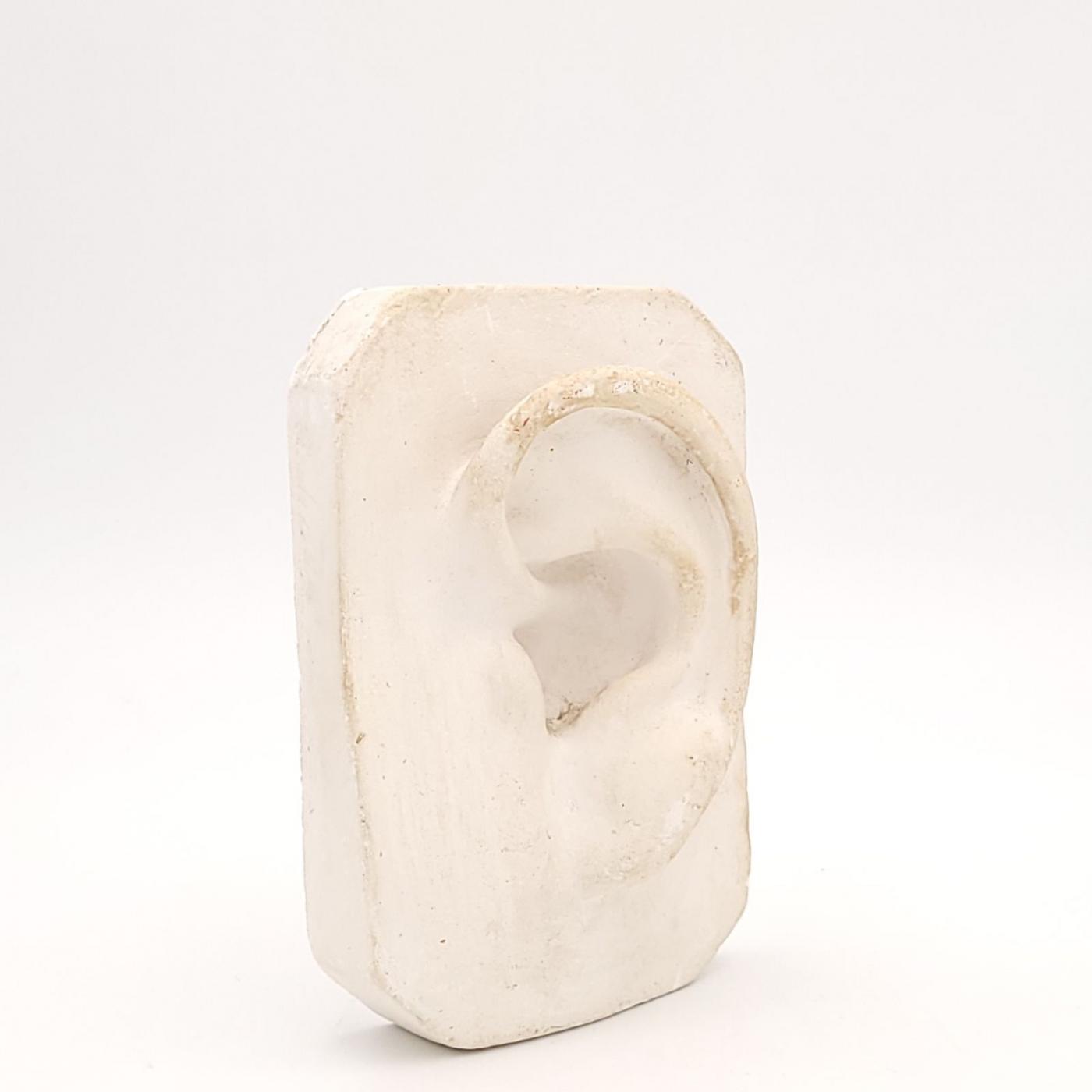 Artist's Plaster Model of an Ear, circa 1880