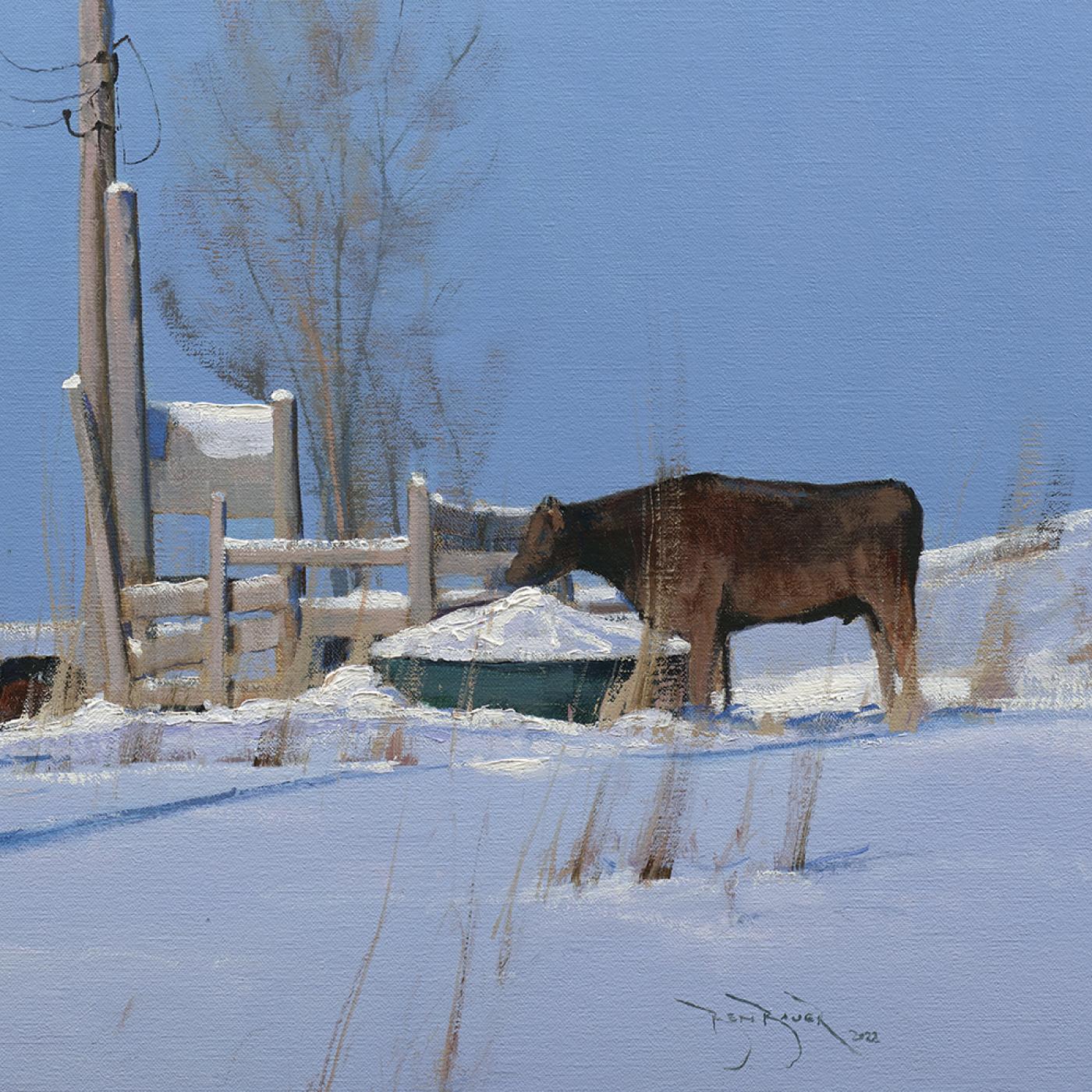 Ben Bauer - Shorsey and the Bovines