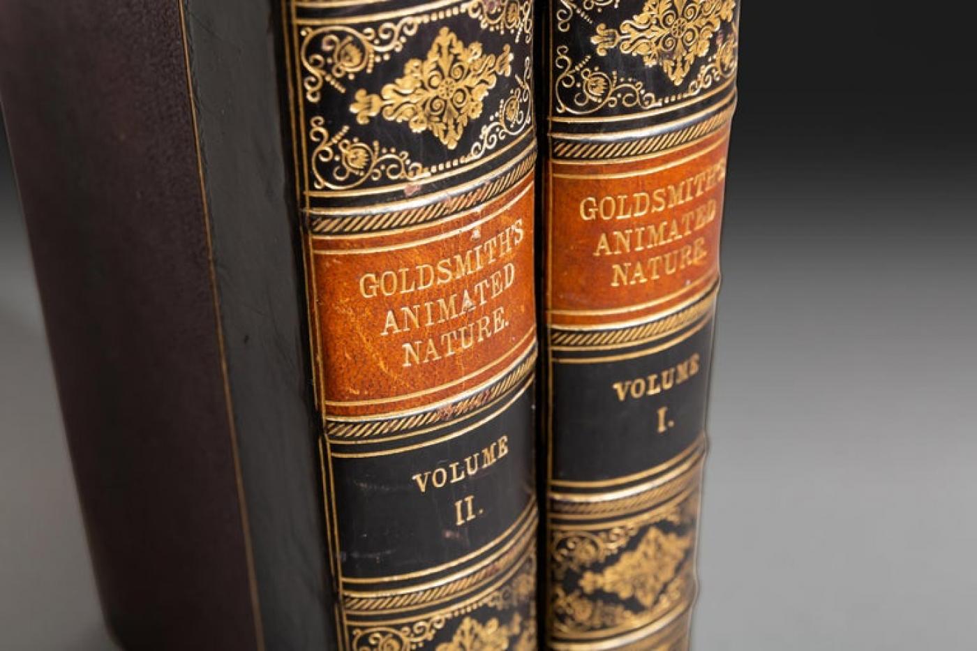 'Book Set' 2 Volumes, Oliver Goldsmith, A History of the Earth ...