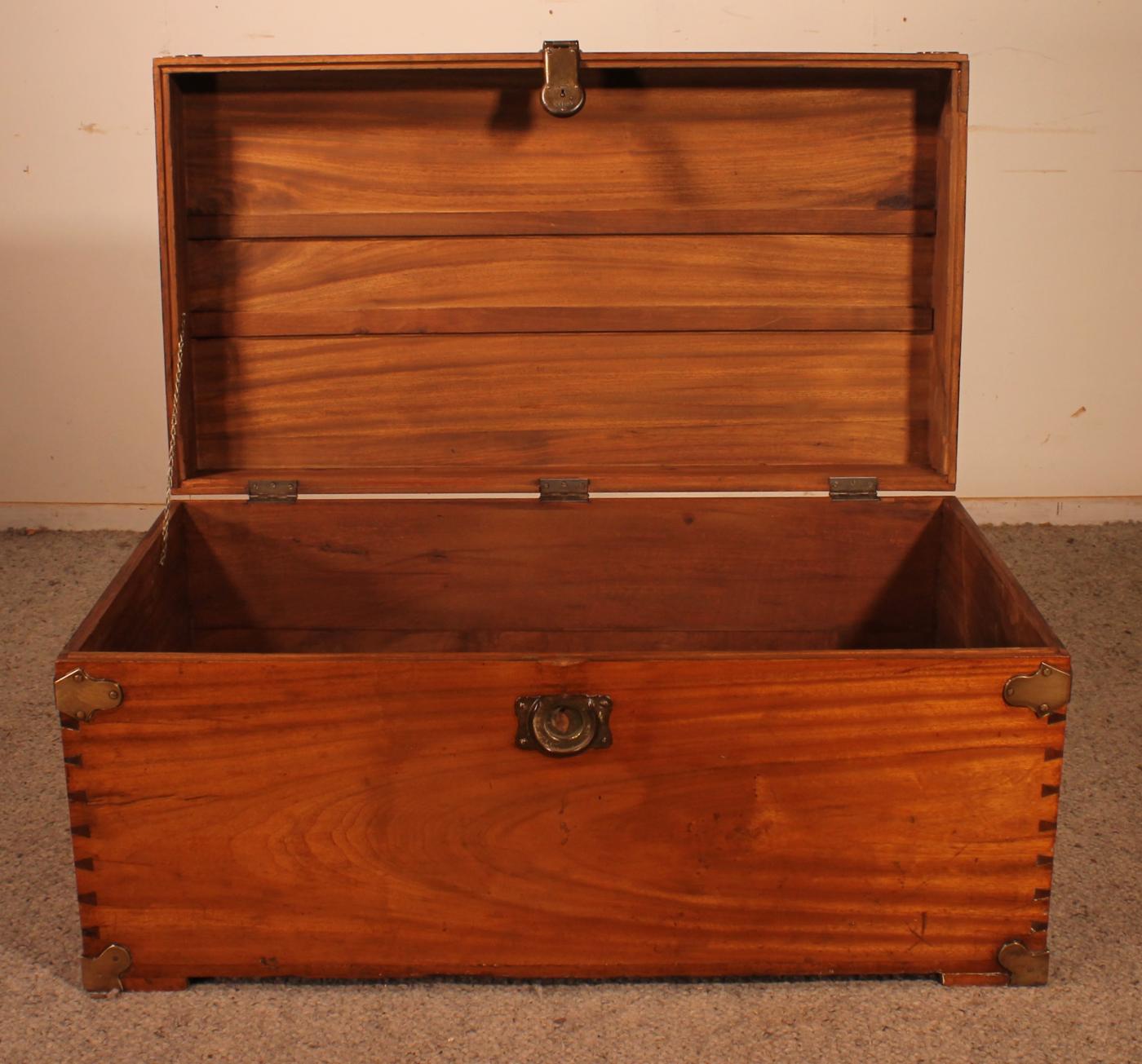 Campaign Chest In Camphor Camphor Wood
