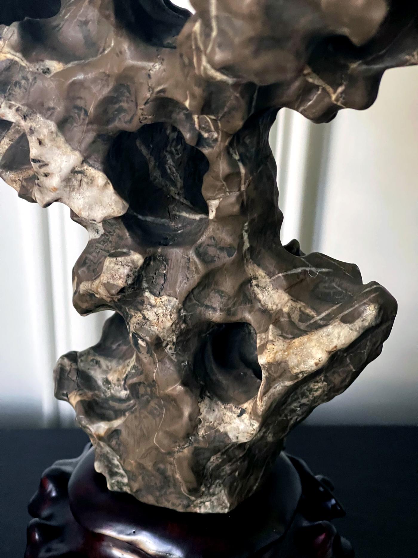 Chinese Scholar Rock Black Taihu Stone on Wood Stand