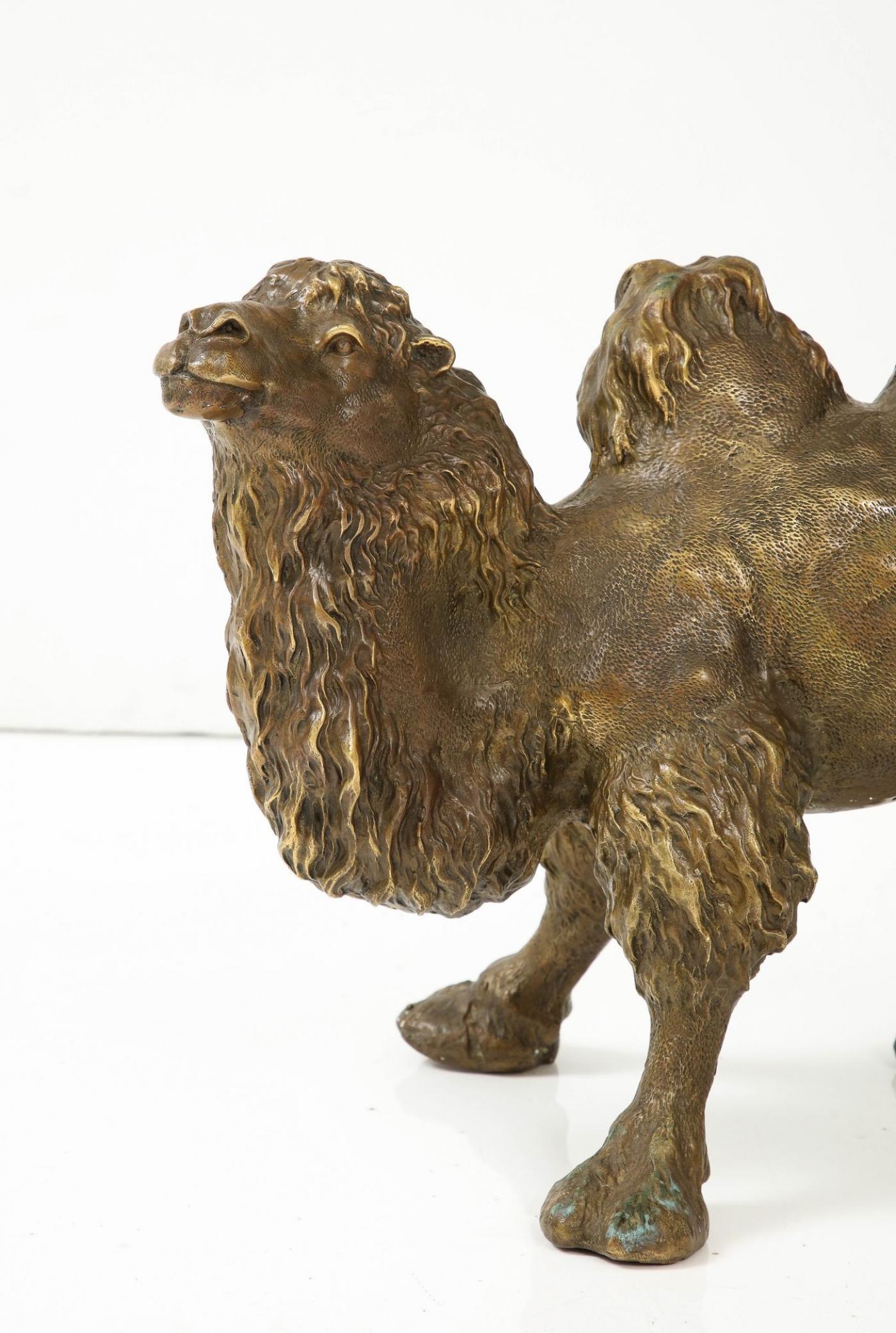 Cold Cast Bronze Camel, French, 20th Century