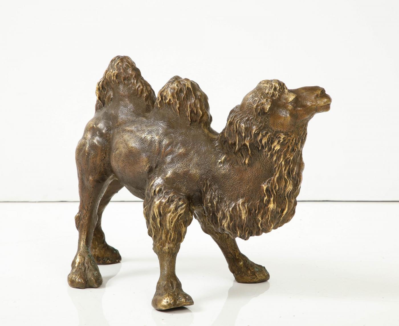Cold Cast Bronze Camel, French, 20th Century