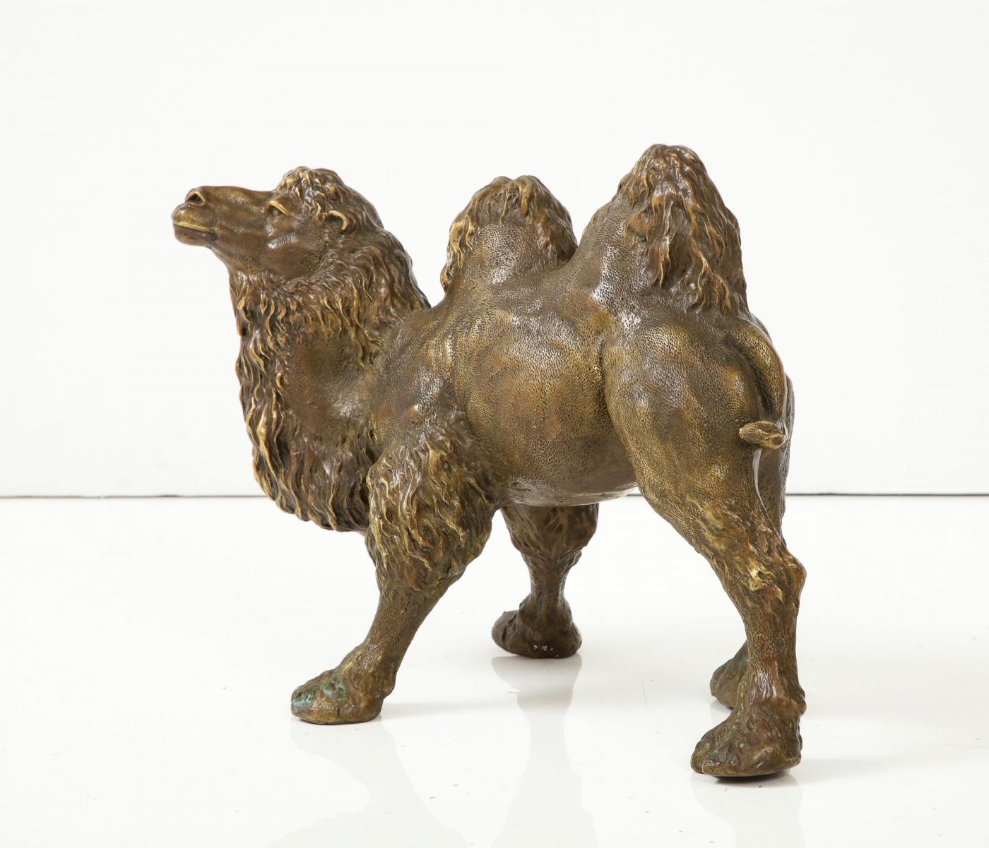 Cold Cast Bronze Camel, French, 20th Century
