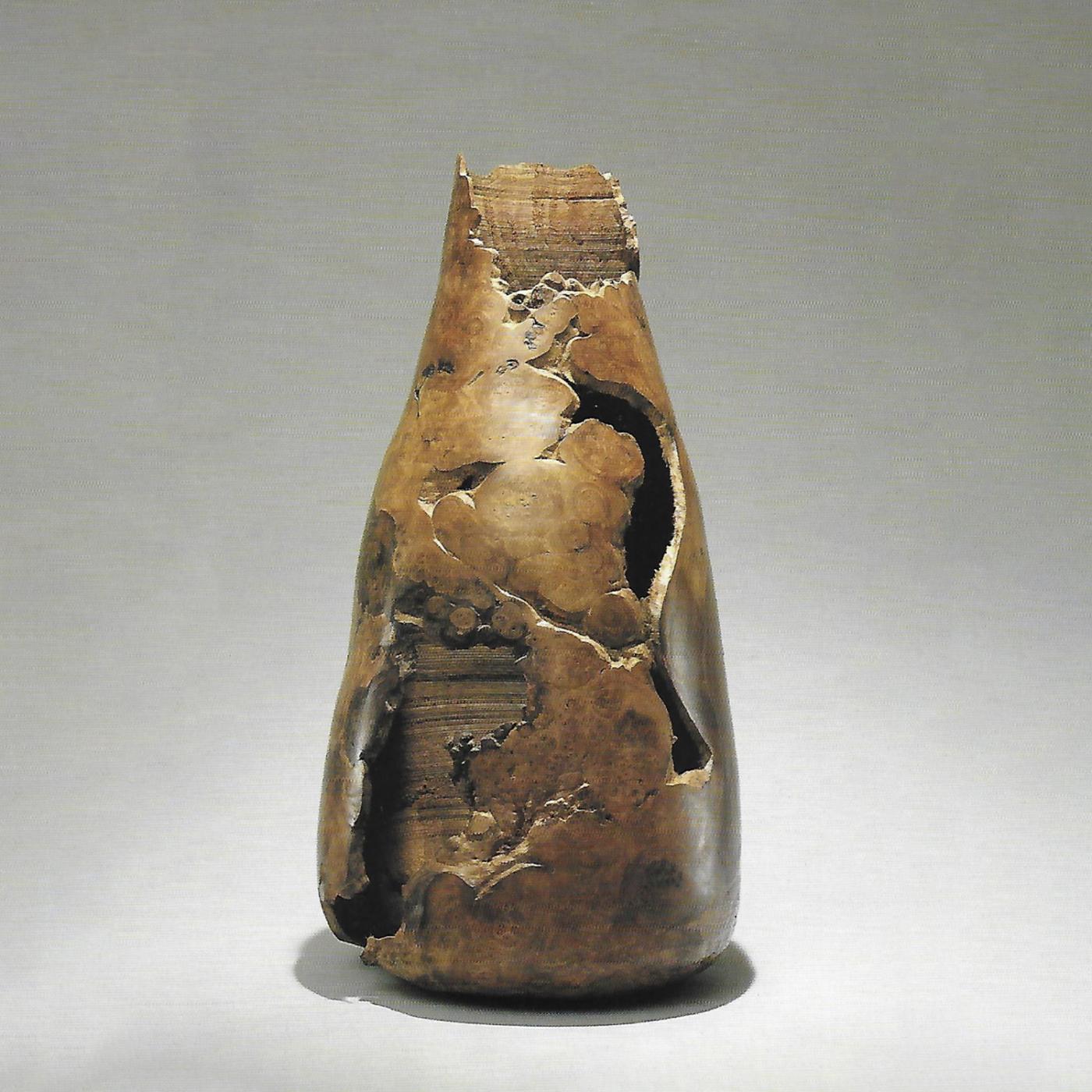 David Ellsworth - Sentinel