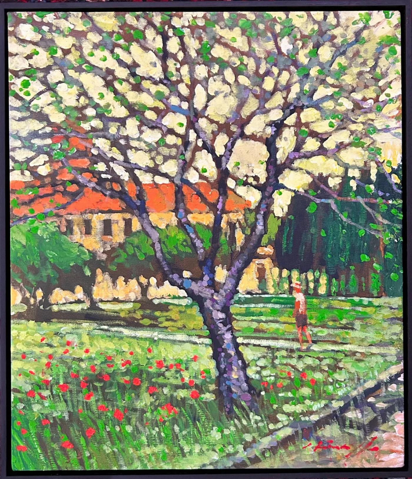 David Hinchliffe - The Peach Tree, backyard of Abbey, St Remy, Provence