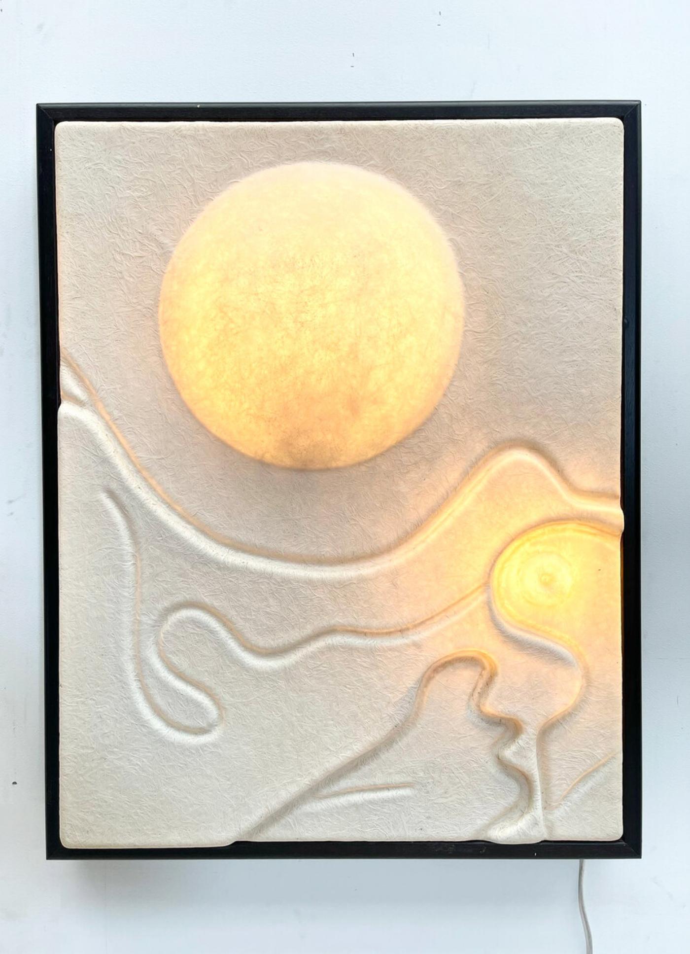 Decorative Wood & Fiberglass Wall Panel Light