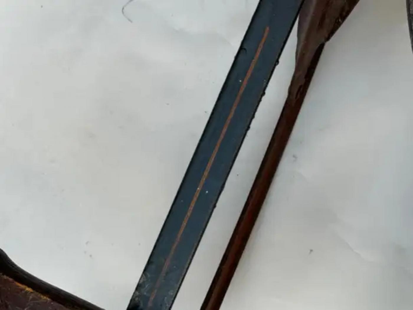 Disney Donald Duck Flexible Flyer Sled