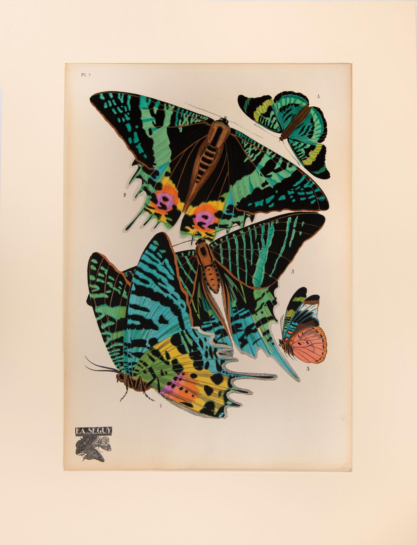 Eugene Alain Seguy - Papillons