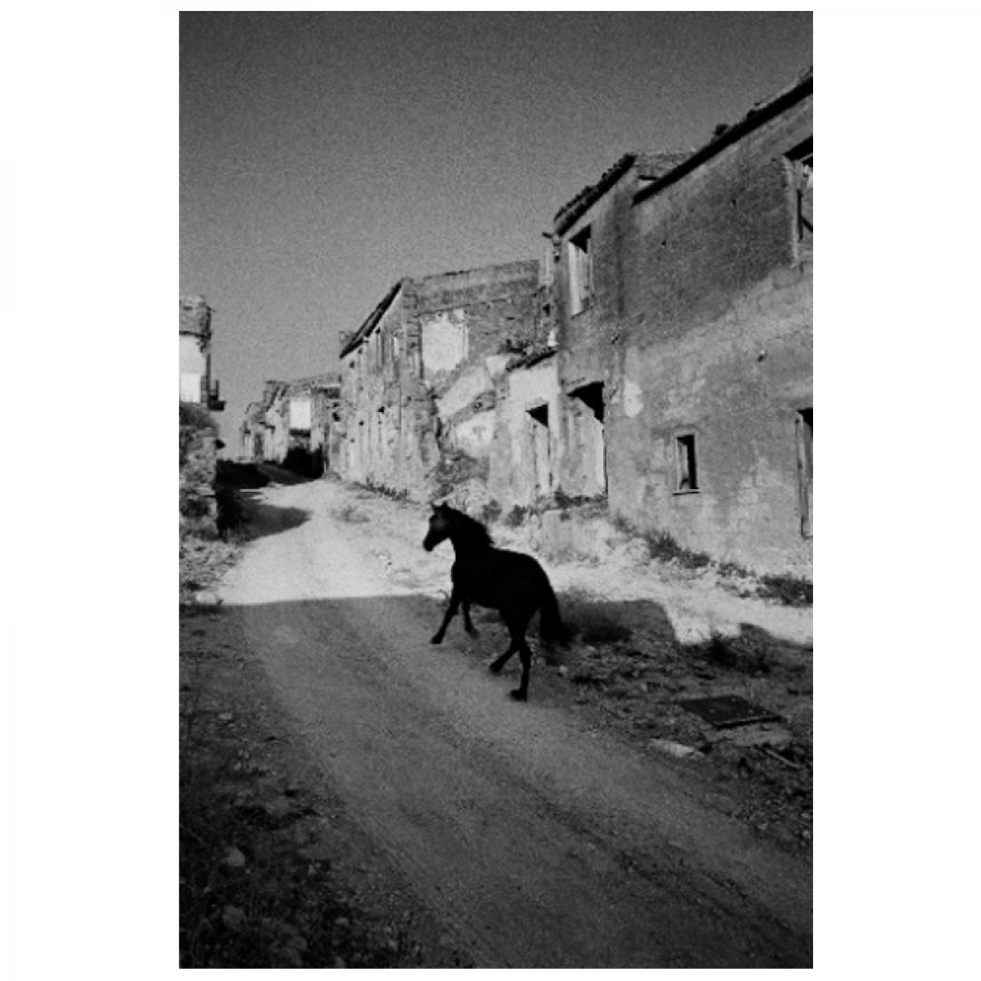 Ferrante Ferranti - RUINS (1987) Dyptich of Fine Art Photographs