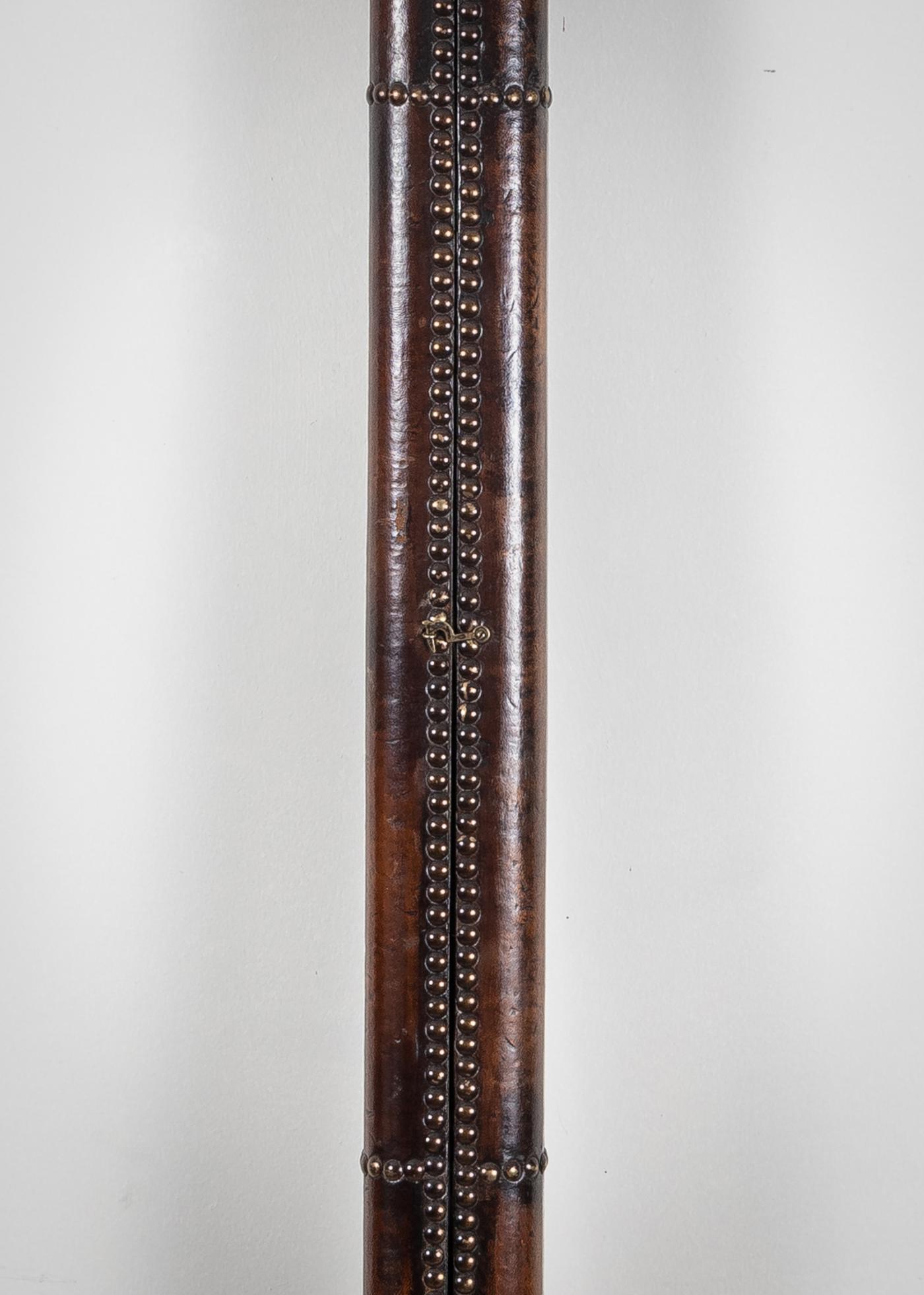 Folding Library Pole Ladder