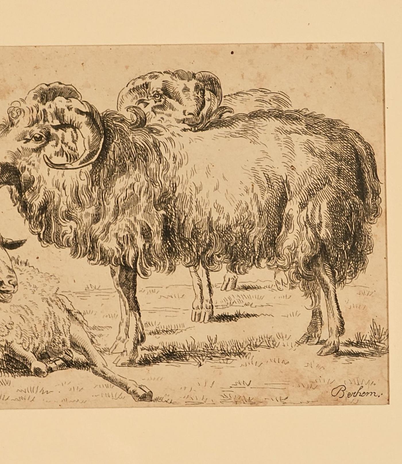 French Pen and Ink Drawing of Ram and Ewe, circa 1800